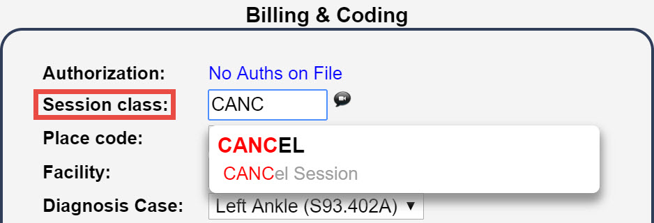 Session Class – Therabill